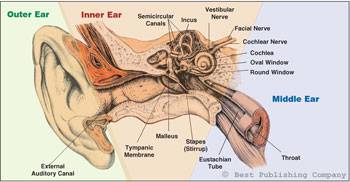 Sinus and Ear Disorders That Take Place During Hyperbaric Oxygen Therapy Rx Pad Wound Care Education Partners